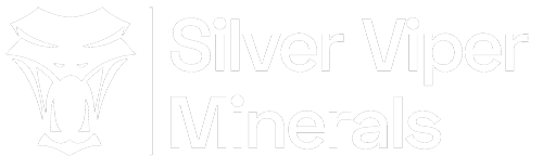 SILVER VIPER ANNOUNCES BOARD CHANGES - Silver Viper Minerals