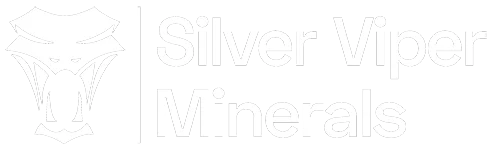SILVER VIPER ANNOUNCES BOARD CHANGES - Silver Viper Minerals